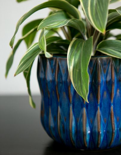 Jackson Pottery | Home