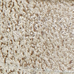 Jackson Pottery | NEW