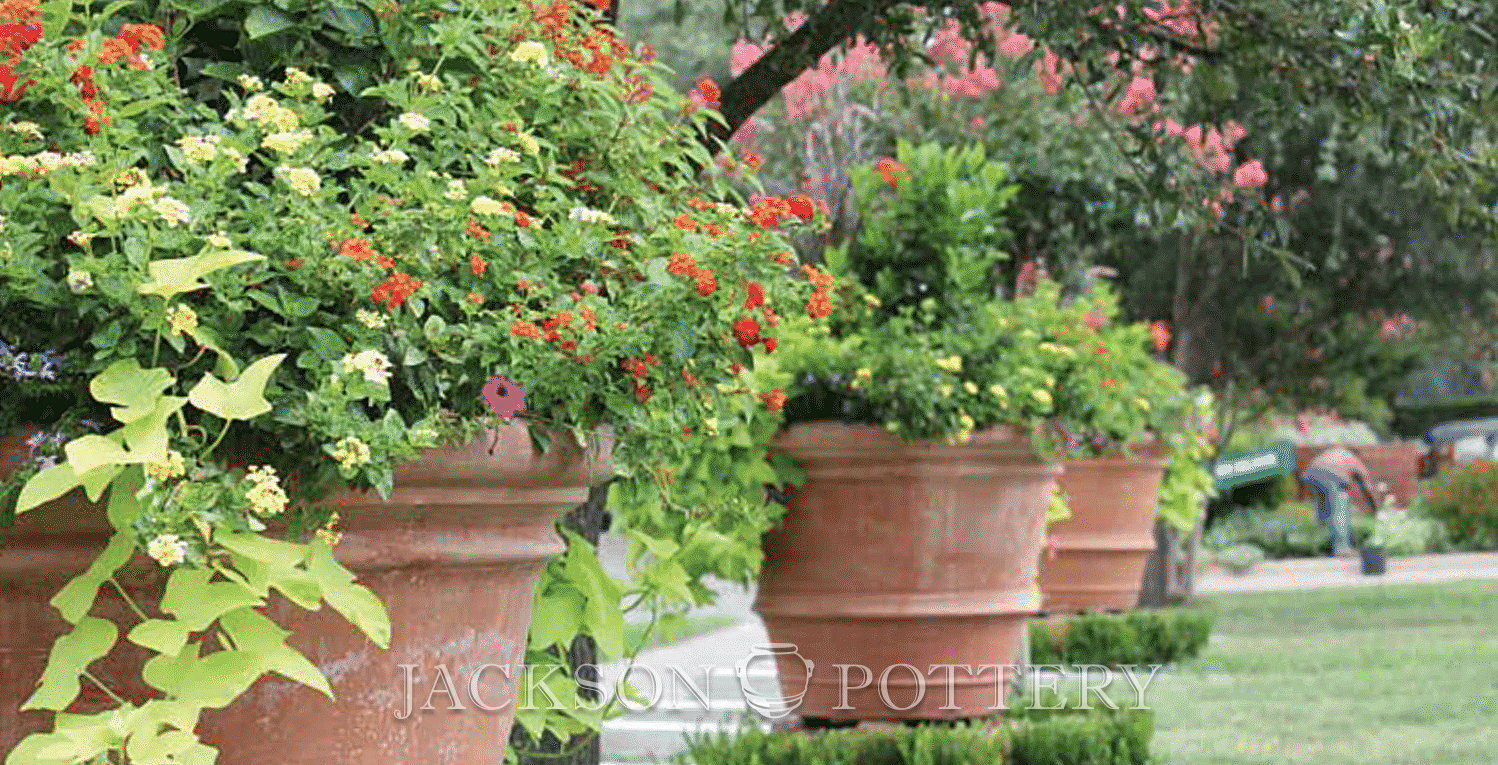 Jackson Pottery | HI-12-J Tuscan Roll Rim, 43 in.