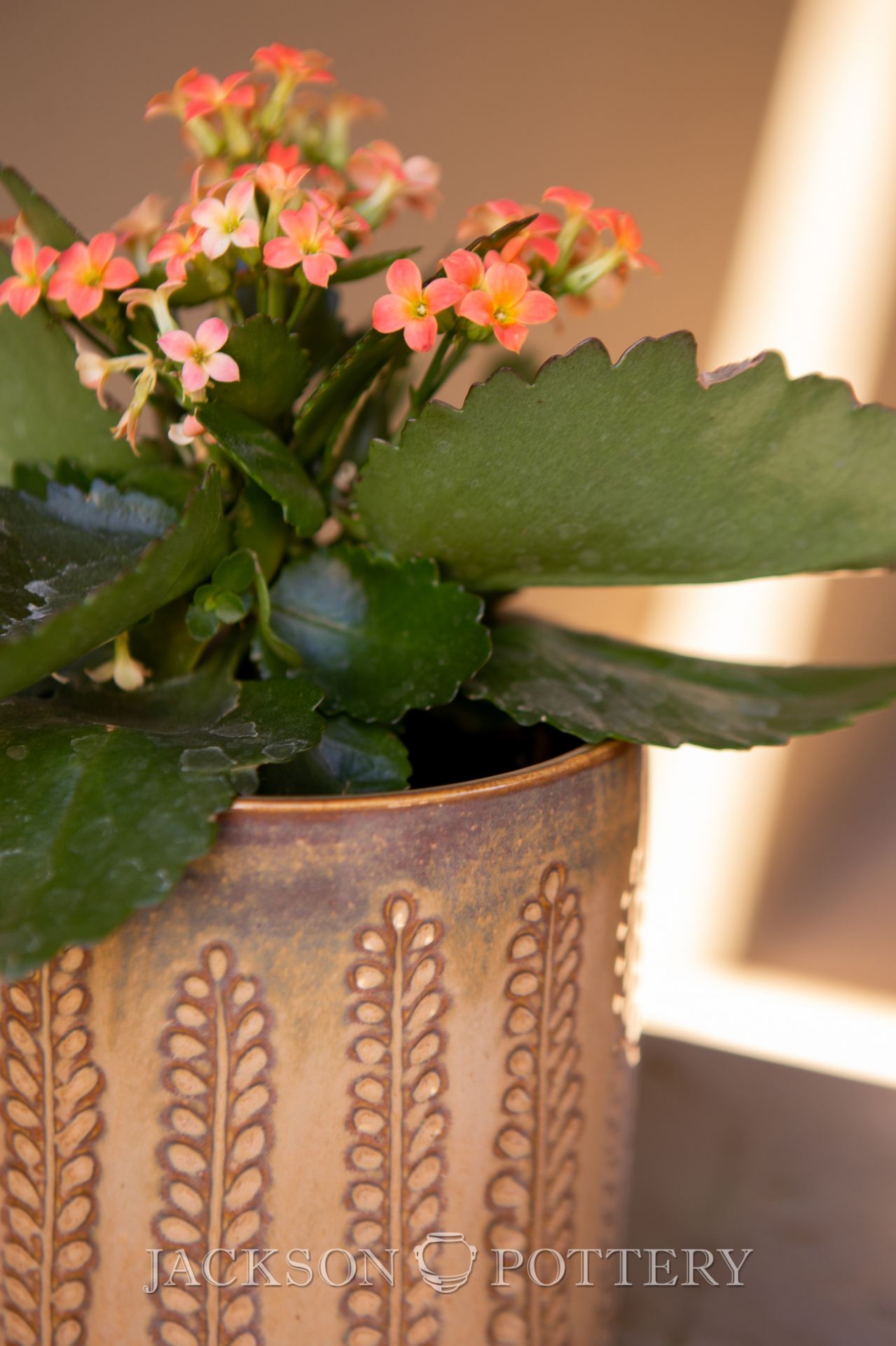 Jackson Pottery | FGC-21002 Sweetgrass Planters, 5.3 in.