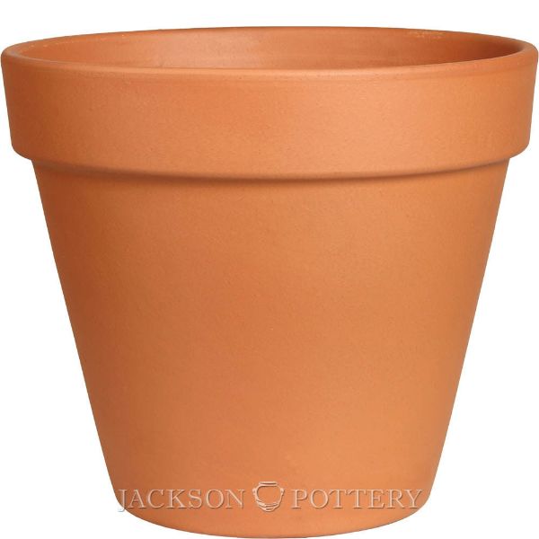 Jackson Pottery | Standard