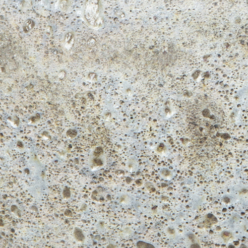 Jackson Pottery | NEW