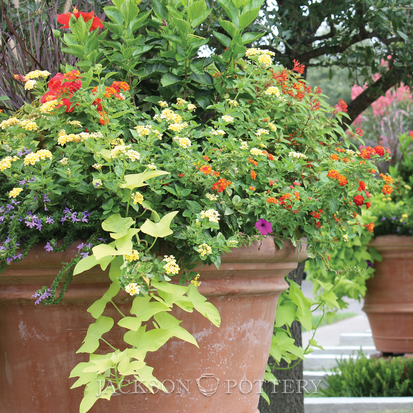 Jackson Pottery | HI-12-H Tuscan Roll Rim, 31.5 in.